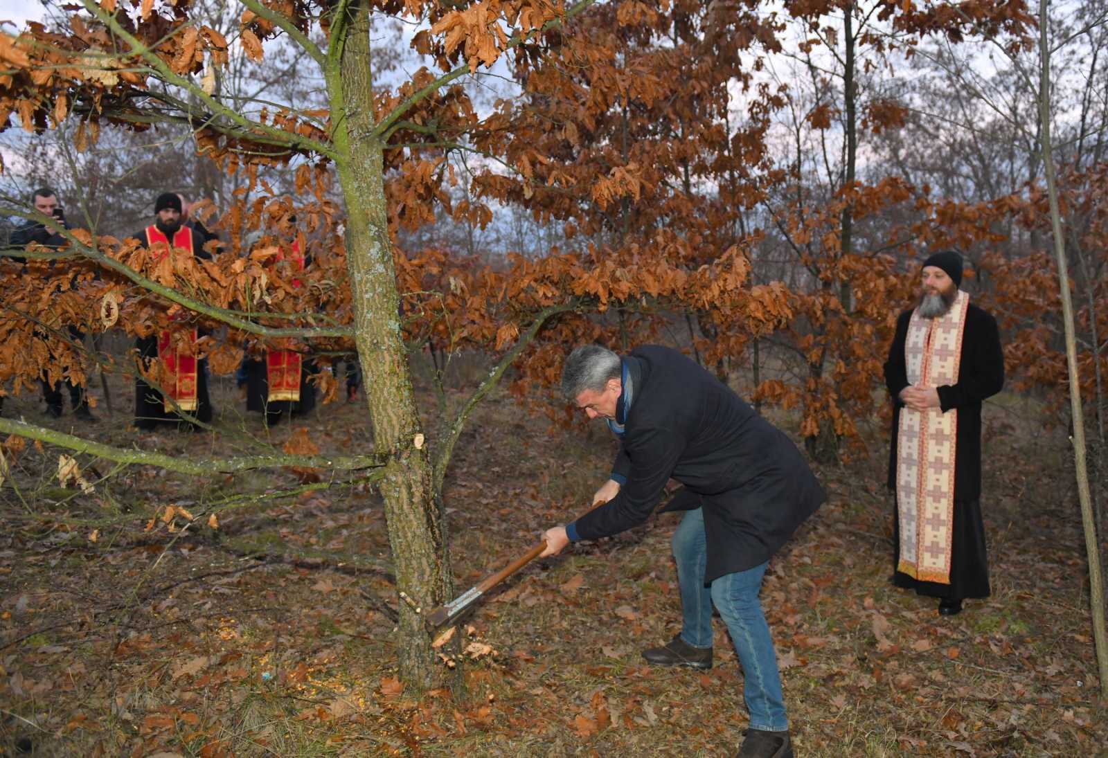 Predstavnici gradskog rukovodstva odsekli badnjak u Rakovi (FOTO ...
