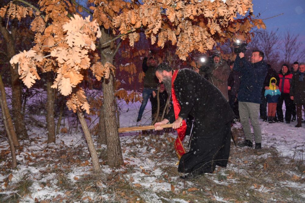 Predstavnici gradskog rukovodstva odsekli badnjak u Lipnici (FOTO ...
